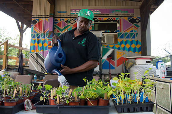 After a century of losses, black farmers take root again - The ...
