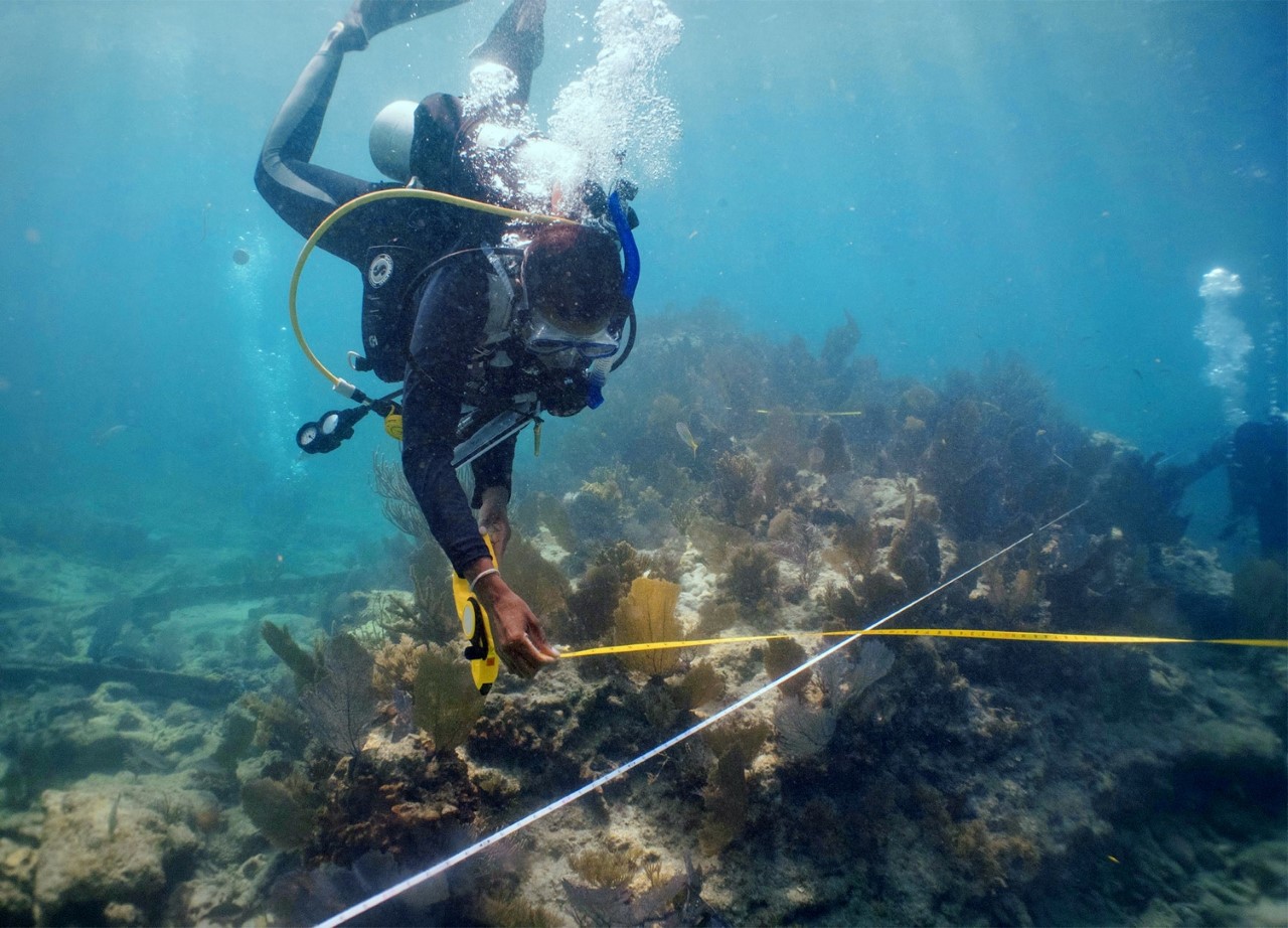 Diver taps into depths of slave trade, discovers her North Carolina ...